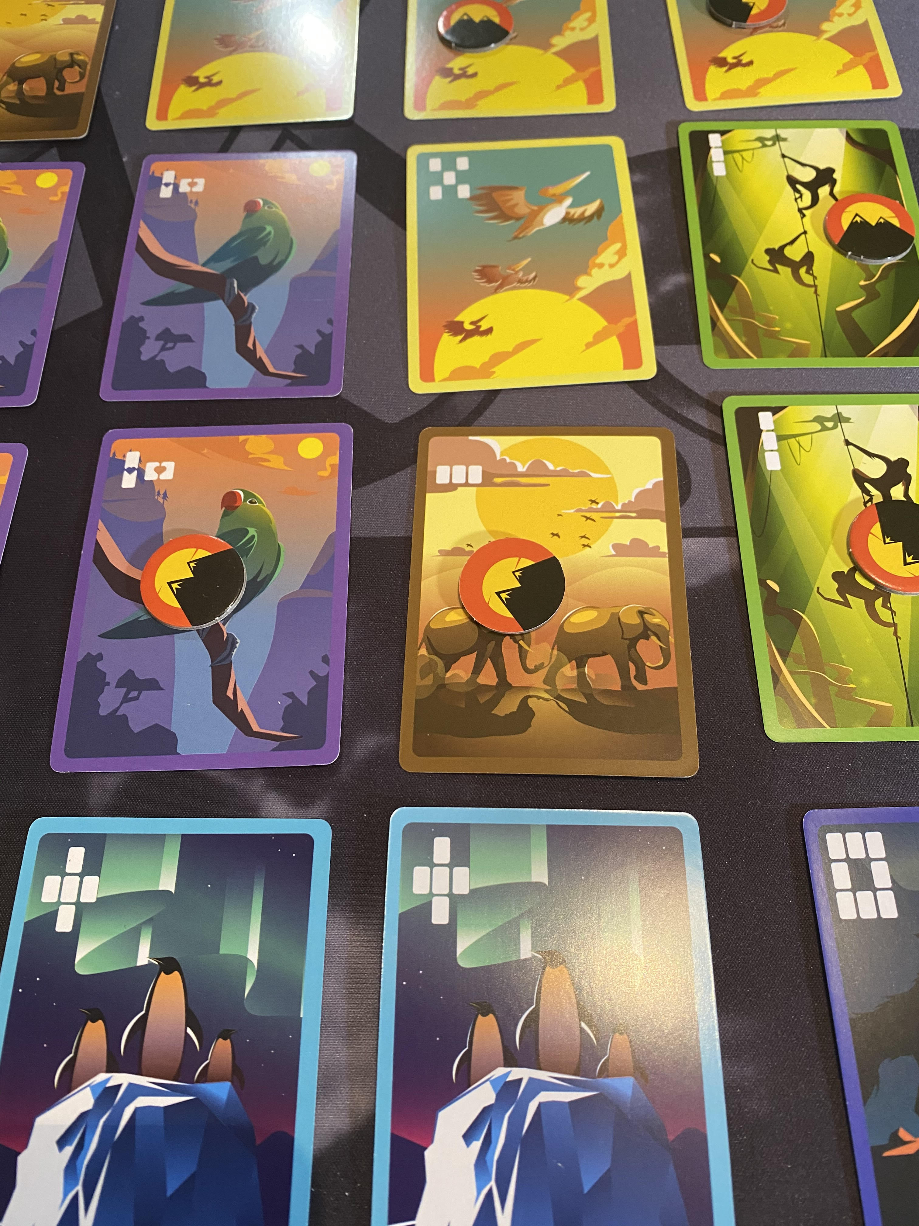 Animix – Fuzzy Llama Reviews